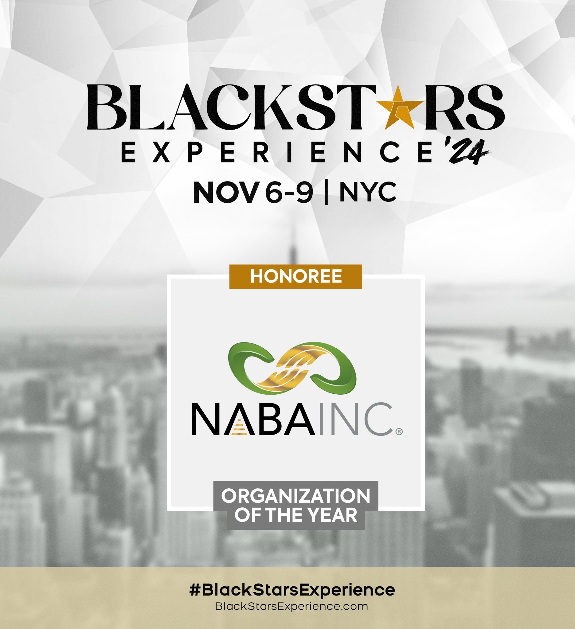 Updates - BlackStars Experience